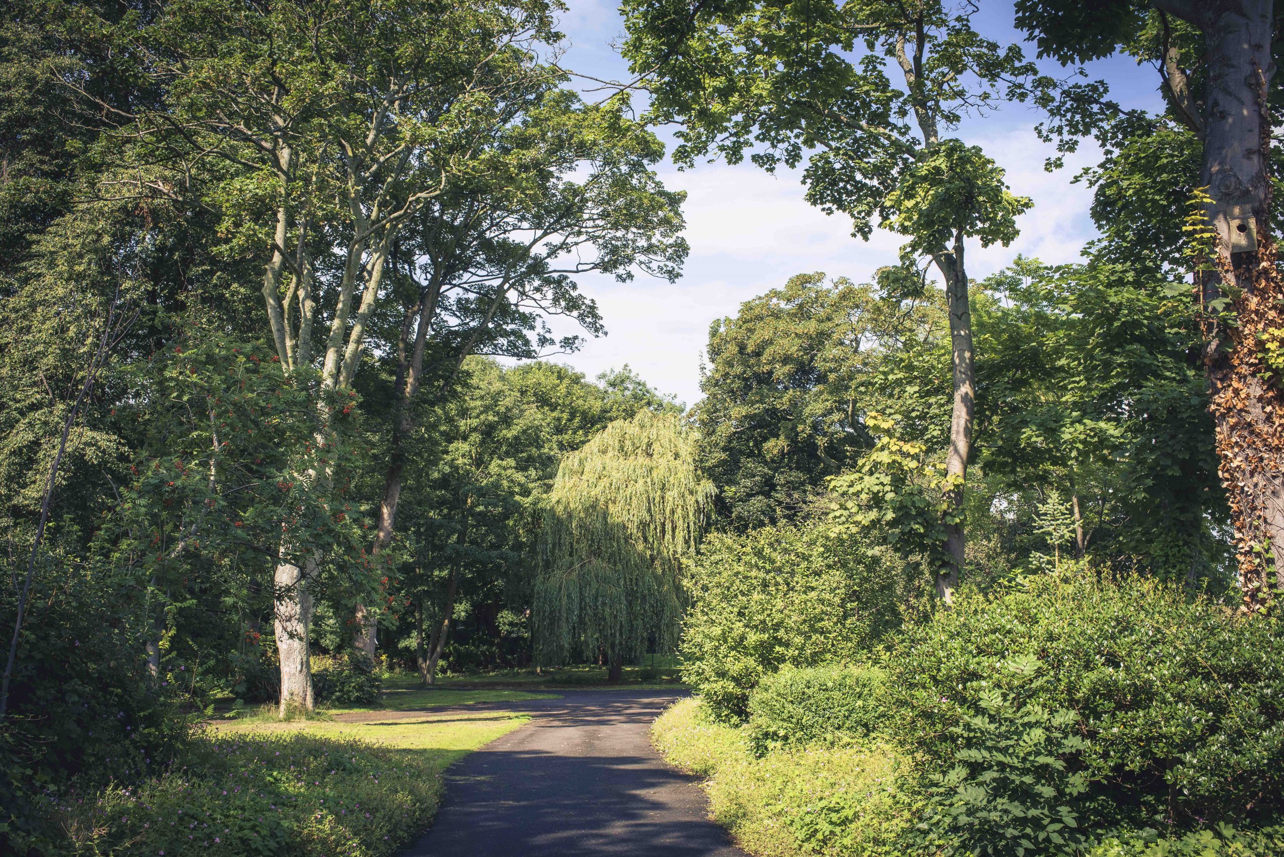 Newcastle's parks and green spaces set for £2.5 million boost - North ...