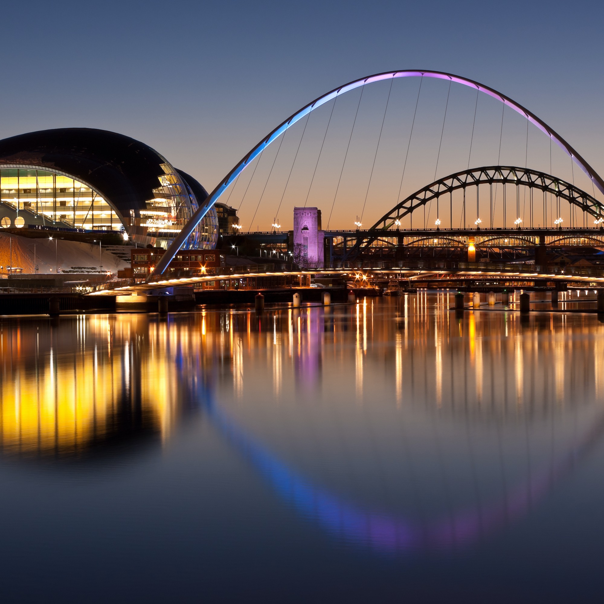 £60 million being lost every day to collapse of international travel ...